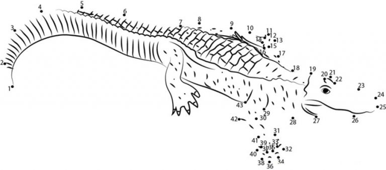 Connect the dots: Alligator, printable for kids & adults, free