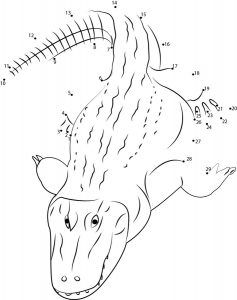 Connect the dots: Alligator, printable for kids & adults, free
