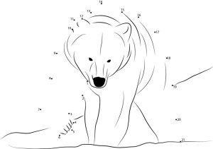 Connect the dots: Bear, printable for kids & adults, free