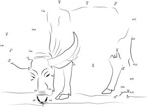 Connect the dots: Buffalo, printable for kids & adults, free