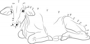 Connect the dots: Cow, printable for kids & adults, free