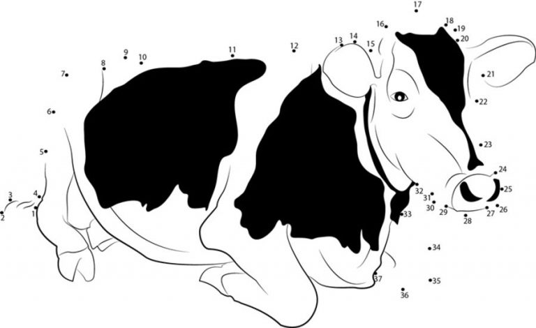 Connect the dots: Cow, printable for kids & adults, free
