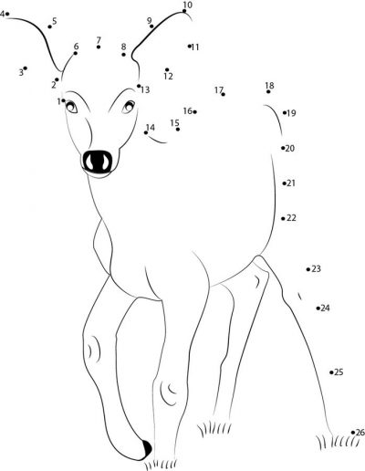 Connect the dots: Deer, printable for kids & adults, free