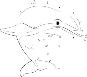 Connect the dots: Dolphin, printable for kids & adults, free