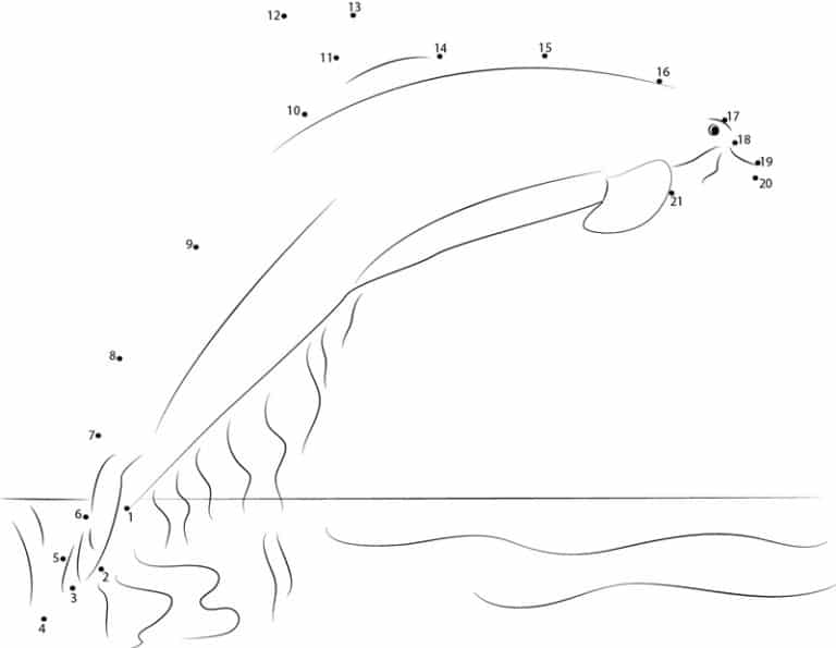 Connect the dots: Dolphin, printable for kids & adults, free