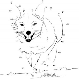 Connect the dots: Fox, printable for kids & adults, free
