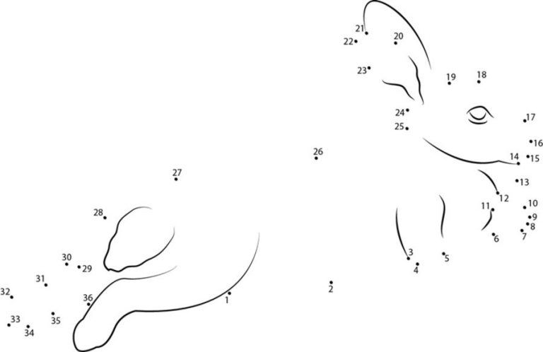 Connect the dots: Rabbit, printable for kids & adults, free
