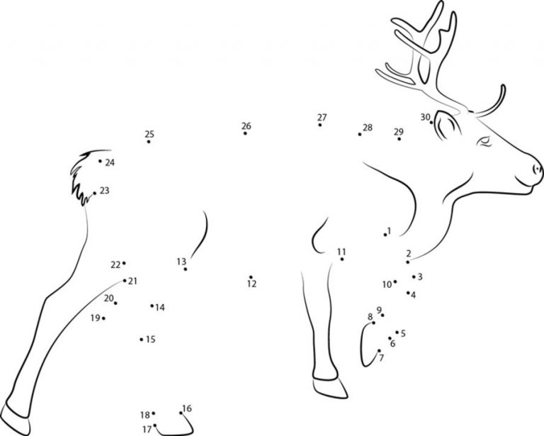 Connect the dots: Reindeer, printable for kids & adults, free