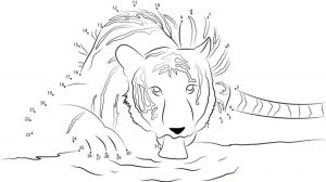 Connect the dots: Tiger, printable for kids & adults, free