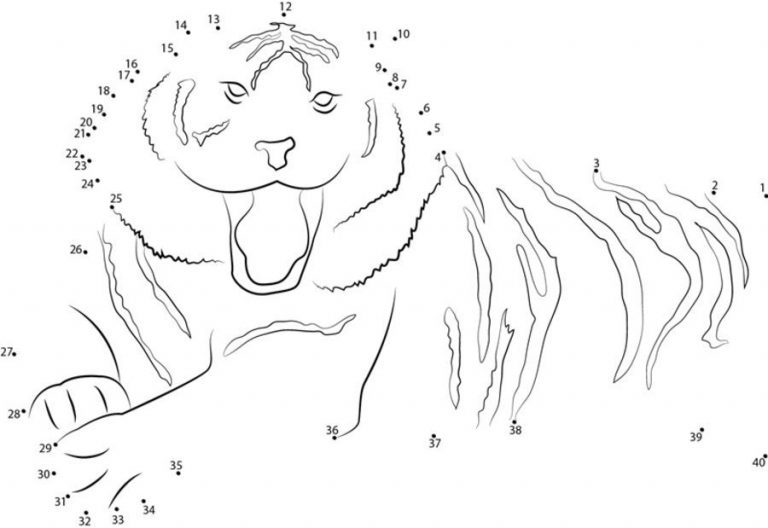 Connect the dots: Tiger, printable for kids & adults, free