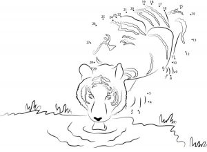 Connect the dots: Tiger, printable for kids & adults, free