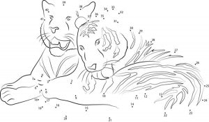 Connect the dots: Tiger, printable for kids & adults, free