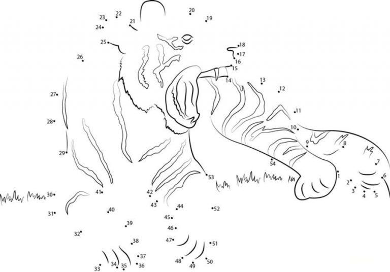Connect the dots: Tiger, printable for kids & adults, free