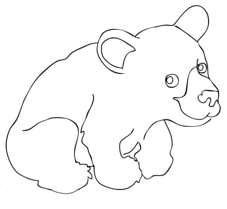 Coloring pages: American black bear, printable for kids & adults, free