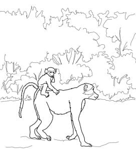 Coloring pages: Baboon, printable for kids & adults, free