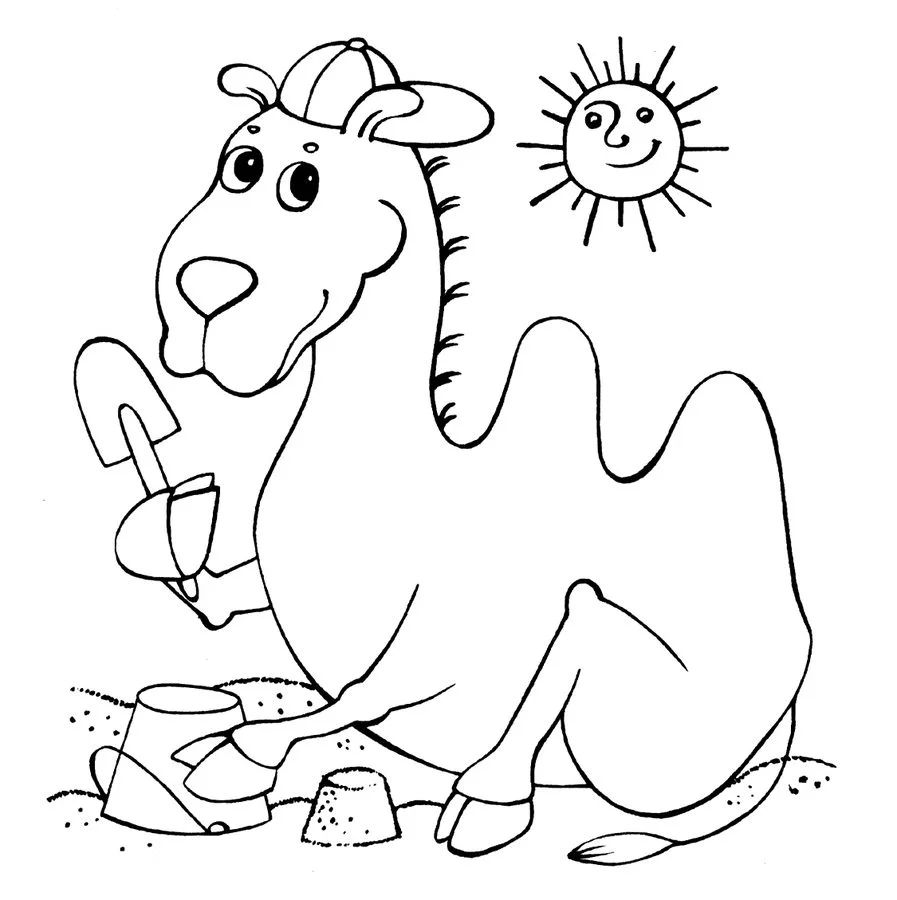 Coloring pages: Camel, printable for kids & adults, free
