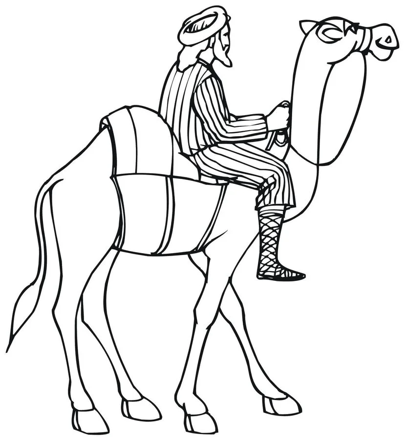 Coloring pages: Camel, printable for kids & adults, free