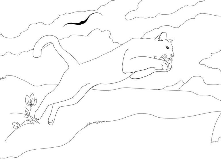 Ausmalbilder: Puma zum ausdrucken, kostenlos, für Kinder und Erwachsene