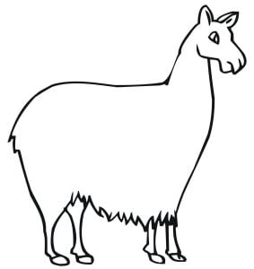 Dibujos para colorear: Llama imprimible, gratis, para los niños y los ...