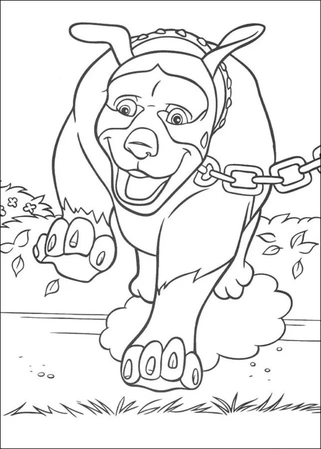 Coloring pages: Over the Hedge, printable for kids & adults, free