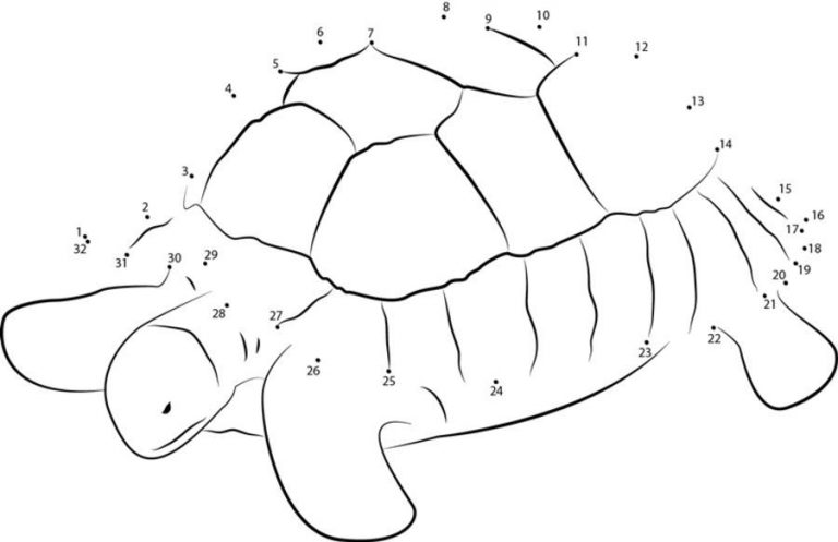 Connect the dots: Turtle, printable for kids & adults, free