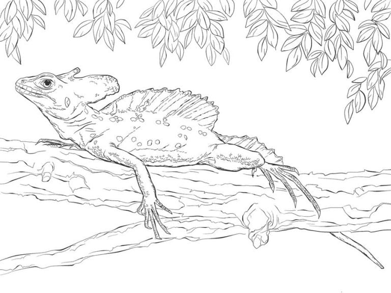 Disegni da colorare: Basiliscus stampabile, gratuito, per bambini e adulti