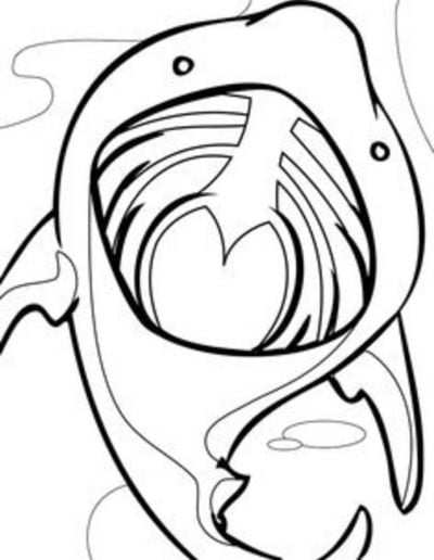 Coloring pages: Basking shark, printable for kids & adults, free