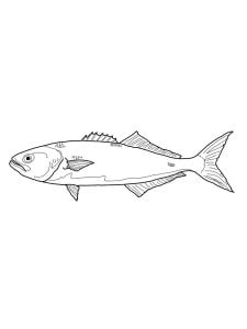 Kolorowanki: Lufar do druku dla dzieci i dorosłych