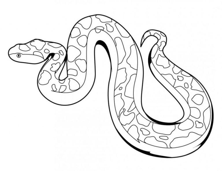 Coloring pages: Boa Constrictor, printable for kids & adults, free