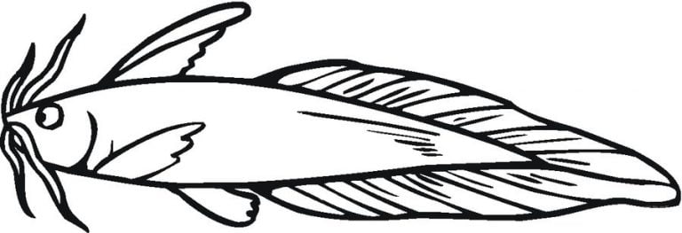 Kolorowanki: Sum do druku dla dzieci i dorosłych