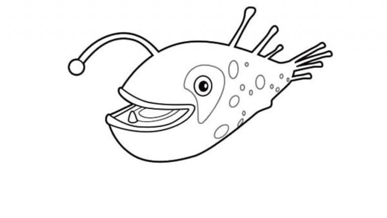 Coloring pages: Deep sea fish, printable for kids & adults, free