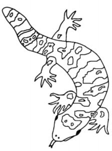 Coloring pages: Gila monster, printable for kids & adults, free