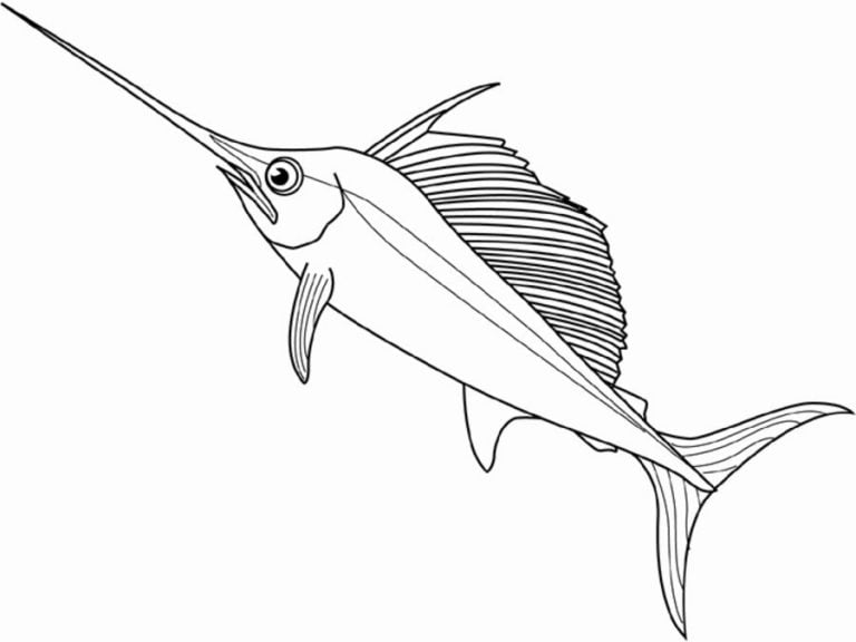 Coloring pages: Marlin, printable for kids & adults, free
