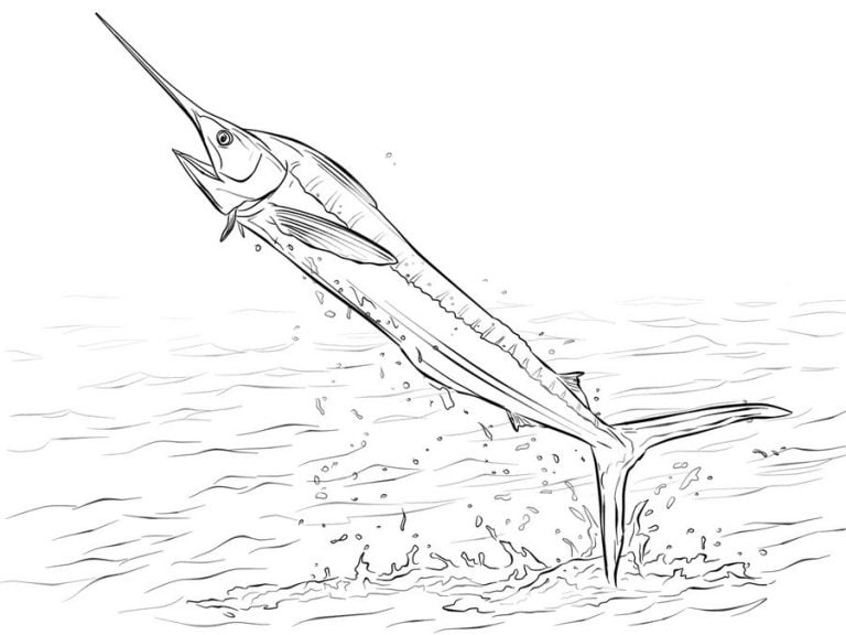 Coloring pages: Marlin, printable for kids & adults, free