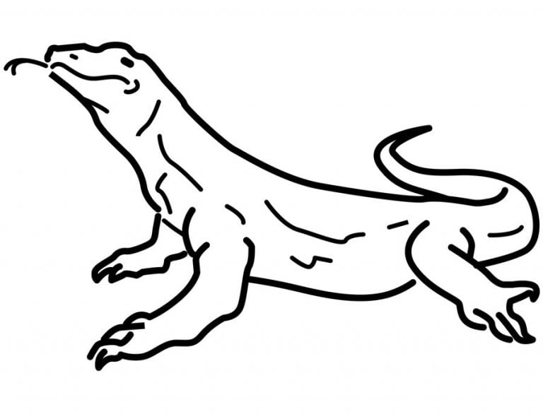 Coloring pages: Monitor lizard, printable for kids & adults, free