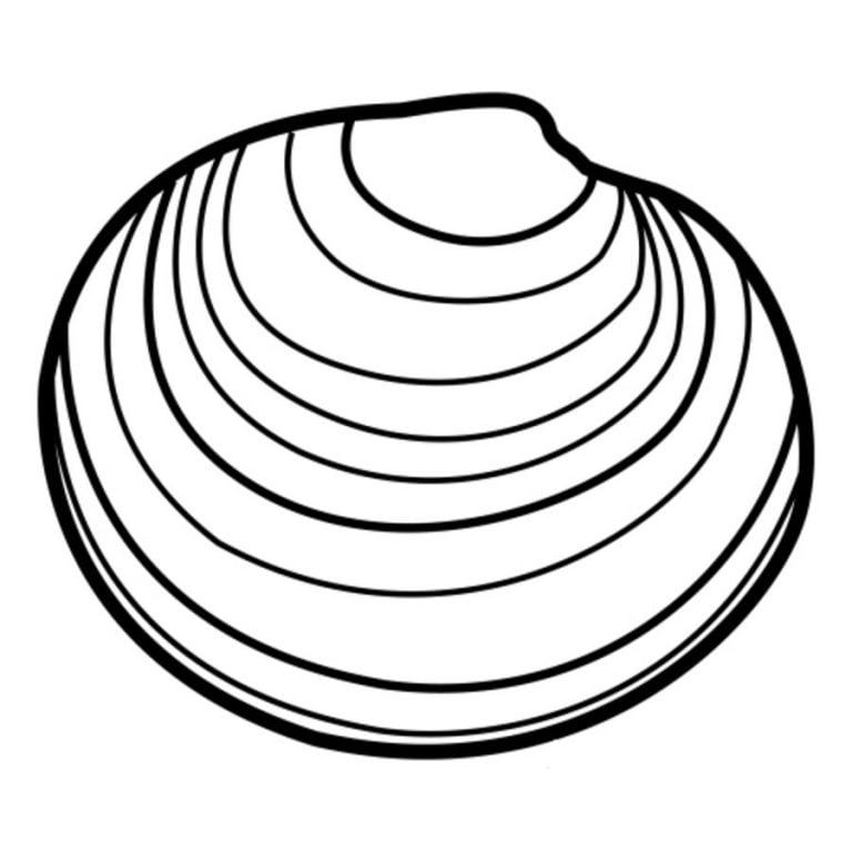 Disegni da colorare: Cozza stampabile, gratuito, per bambini e adulti