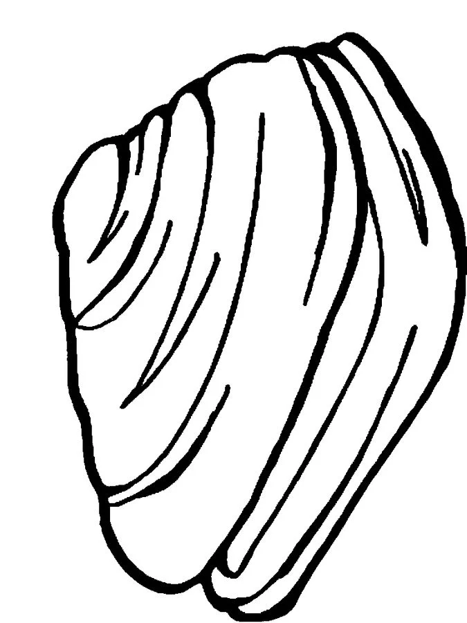 Coloring pages: Mussel, printable for kids & adults, free