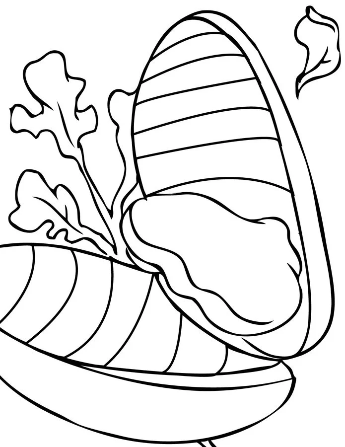 Coloring pages: Mussel, printable for kids & adults, free