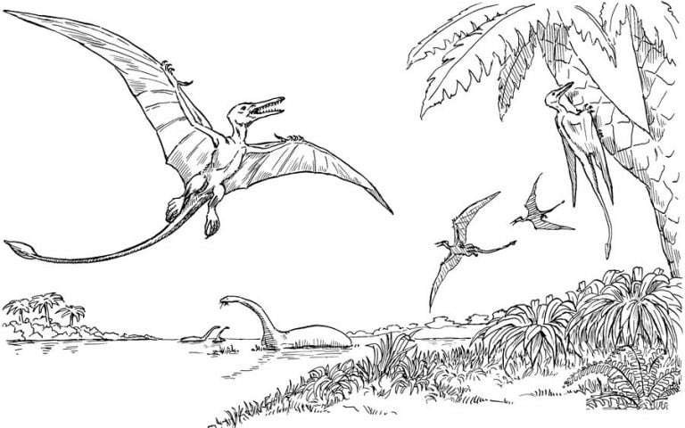 Disegni da colorare: Pterodactyl stampabile, gratuito, per bambini e adulti