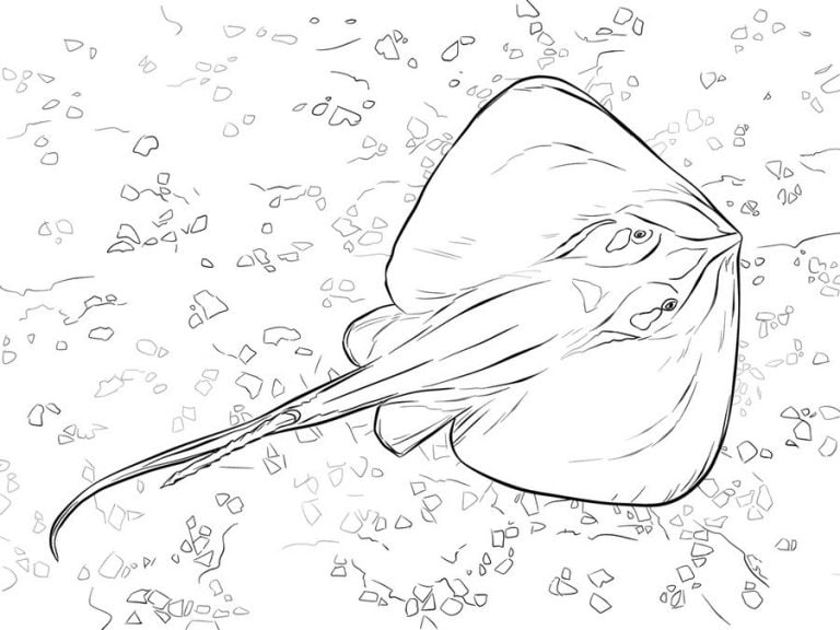 Ausmalbilder: Rochen zum ausdrucken, kostenlos, für Kinder und Erwachsene