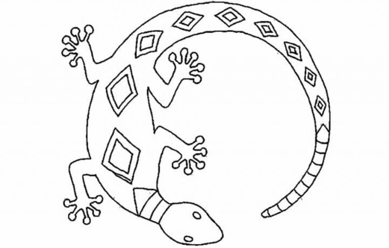 Coloring pages: Salamander, printable for kids & adults, free