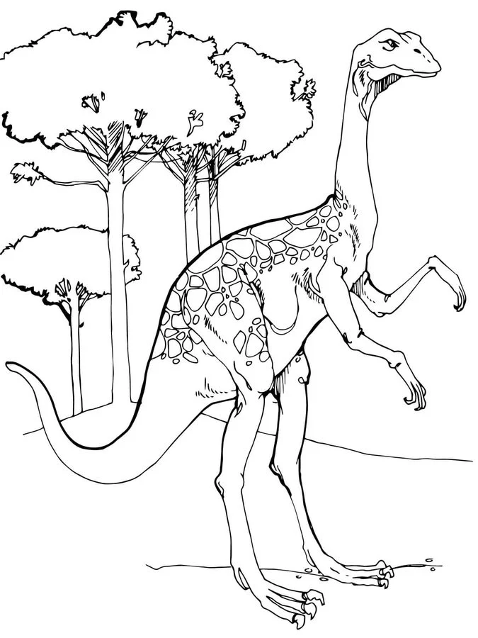 Disegni da colorare: Saurischi stampabile, gratuito, per bambini e adulti