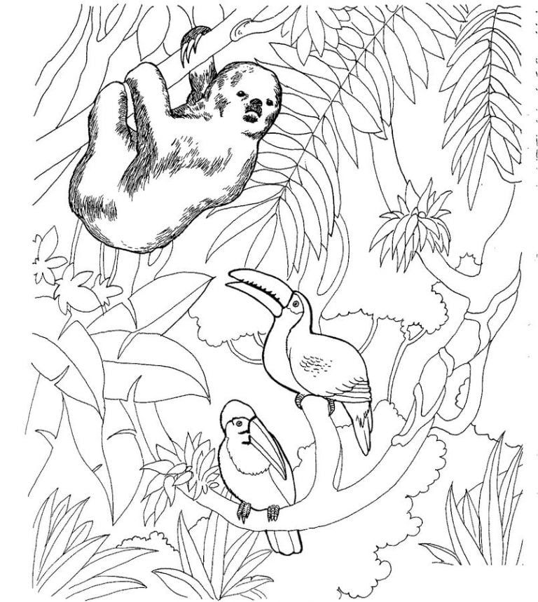 Kolorowanki: Leniwiec do druku dla dzieci i dorosłych