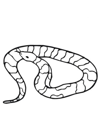 Dibujos para colorear: Víbora imprimible, gratis, para los niños y los ...
