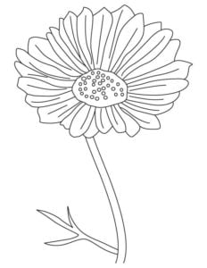 Coloring pages: Cosmos, printable for kids & adults, free to download
