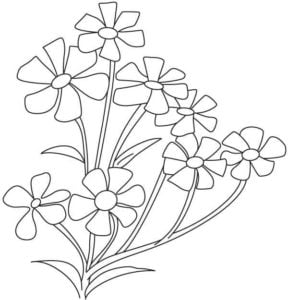 Coloring pages: Cosmos, printable for kids & adults, free to download