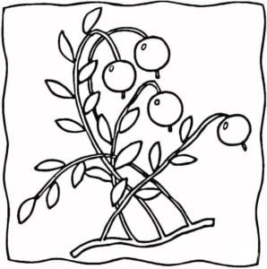 Coloring pages: Cranberry, printable for kids & adults, free to download