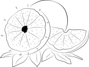 Coloring pages: Grapefruit, printable for kids & adults, free to download