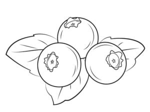 Coloring pages: Huckleberry, printable for kids & adults, free to download