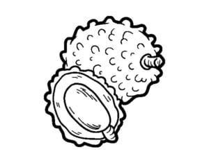 Coloring pages: Lychee, printable for kids & adults, free to download